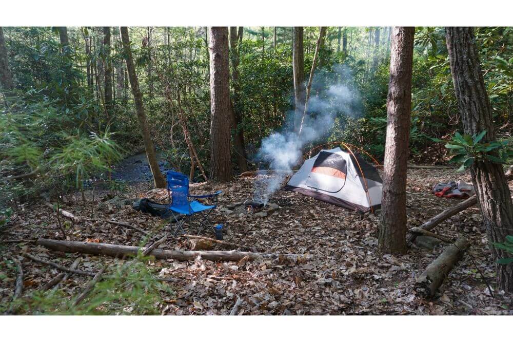 Embracing Nature: Blue Ridge Mountains Camping
