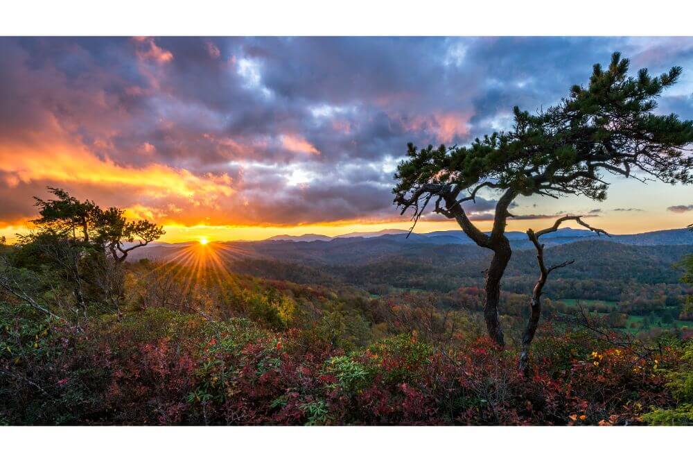 All Aboard the Blue Ridge Scenic Railway