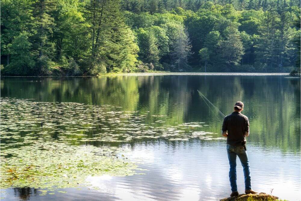 Cast a Line: Fishing in Blue Ridge, GA's Abundant Waters